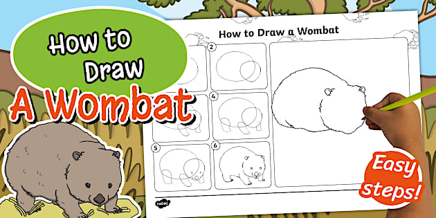 How to Draw a Wombat Activity (teacher made) - Twinkl