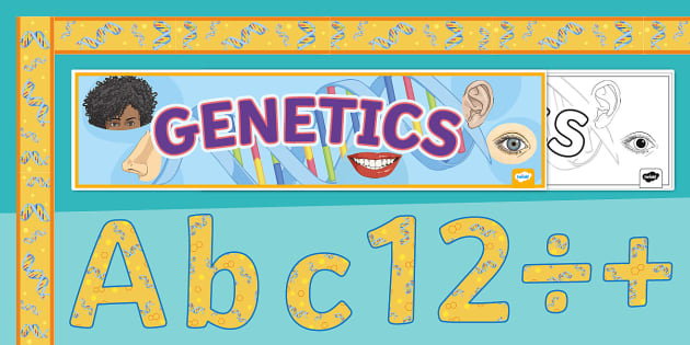Genetics Bulletin Board Pack (teacher made) - Twinkl