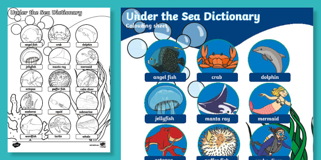 Under the Sea Dictionary Colouring Sheet - Twinkl