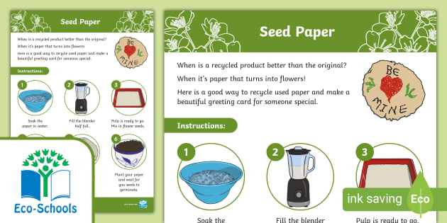 Eco-Schools NI: Foundation Stage Seed Paper Craft Activity