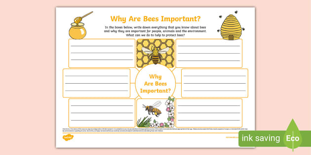 Why Are Bees Important?,bees,bee mind map,save the bees