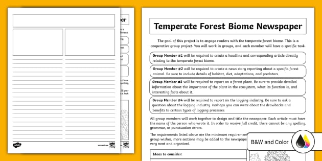 Temperate Forest Biome Newspaper Group Activity - Twinkl
