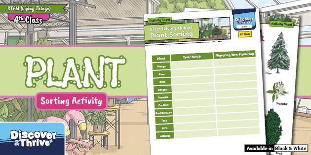 STEM (Living Things) Plant Sorting (4th Class)