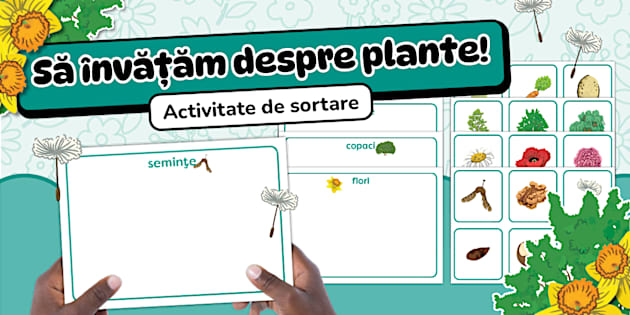 Să învățăm despre plante! – Activitate de sortare