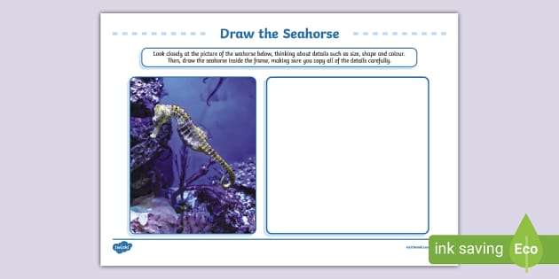 Draw the Seahorse Activity (teacher made)