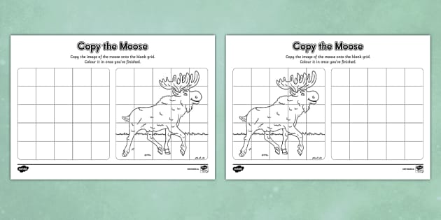 Copy the Moose Worksheet (teacher made) - Twinkl Copy the Moose Worksheet (teacher made) - Twinkl