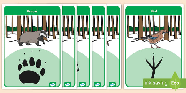 Things to Do on Winter Walks - Twinkl