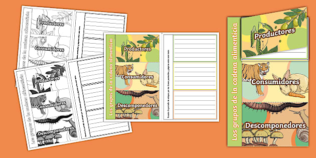 Flapbook: Productores, consumidores y descomponedores