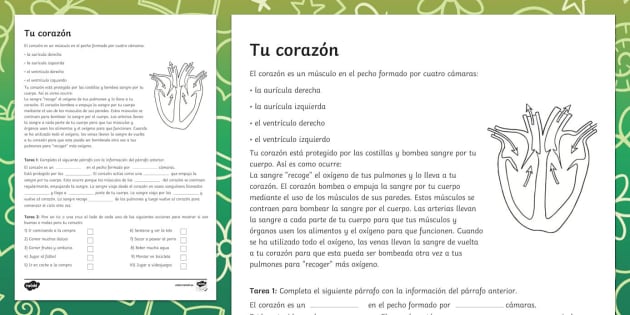 Ficha de actividad: Tu corazón - Secundaria (teacher made)