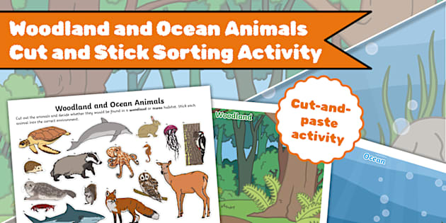 Woodland and Ocean Animals Cut and Stick Sorting Activity
