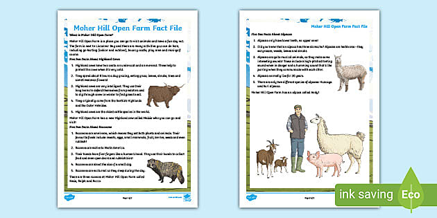Moher Hill Open Farm Fact File Sheets - Resource - Twinkl