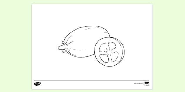 Feijoa Colouring Sheet | Colouring Sheets - Twinkl