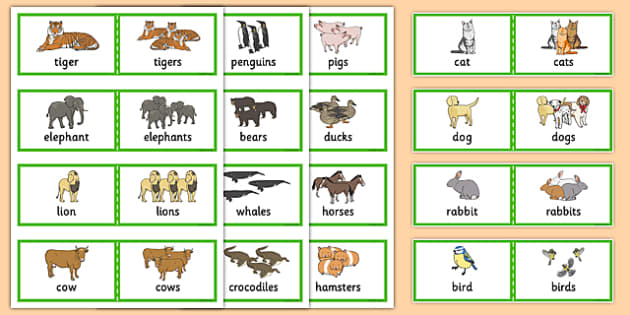 48 Regular Plural Cards - SLI, grammar, EAL, language disorder