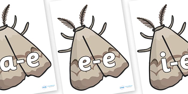 Modifying E Letters on Insects (teacher made) - Twinkl