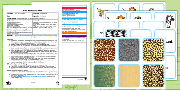 EYFS Pattern Match Adult Input Plan and Resource Pack