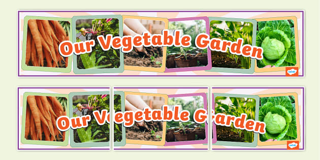 Our Vegetable Garden Photo Display Banner Teacher Made