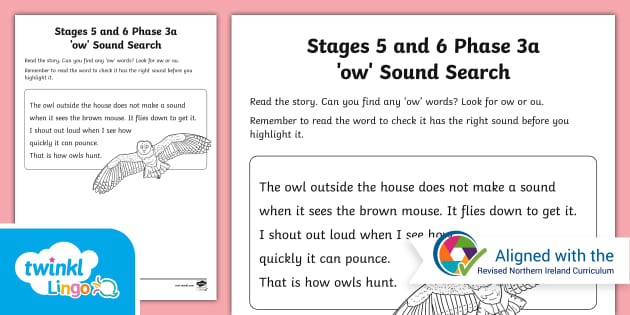 NI Linguistic Phonics 3a ‘ow’ Sound Search Worksheet