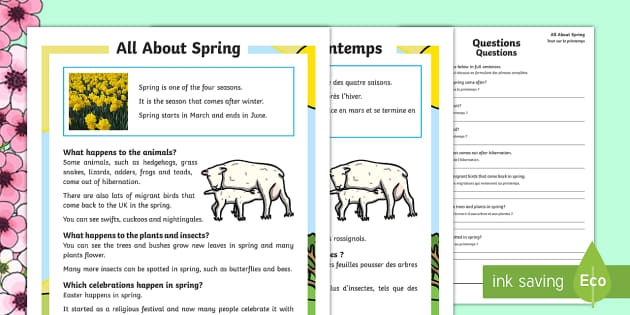 Spring Differentiated Reading Comprehension Activity English/French