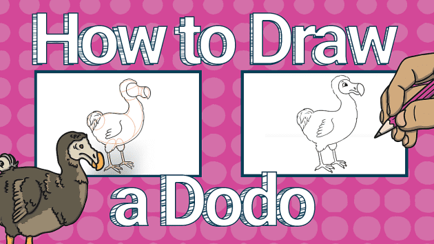 How to Draw a Dodo | Twinkl Kid's TV (Teacher-Made)