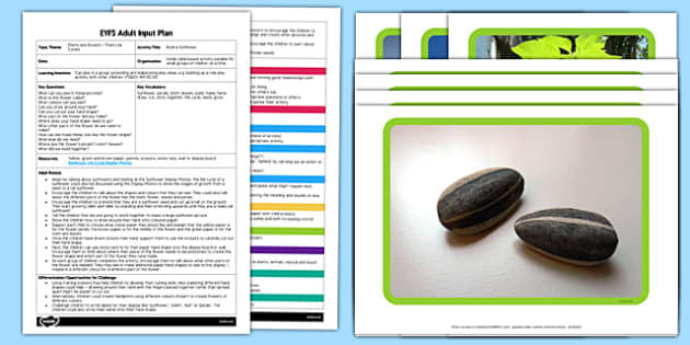 Build a Sunflower EYFS Adult Input Plan and Resource Pack