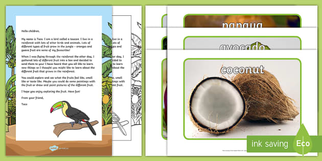 Toucan Fruit Surprise Editable Letter and Resource Pack