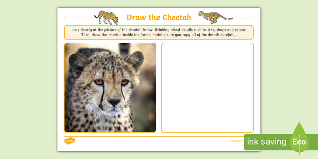 * NEW * Draw the Cheetah Art Activity, Cheetah Drawing
