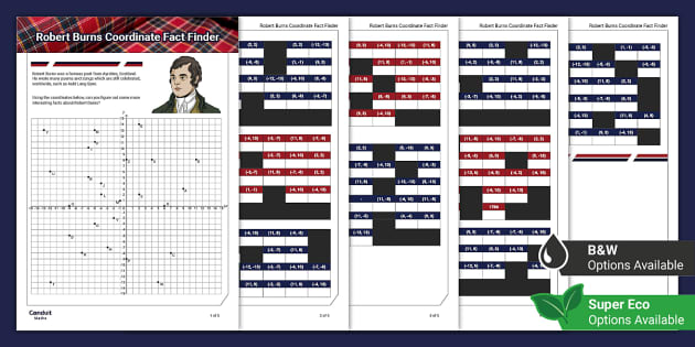 Robert Burns Coordinate Fact Finder (teacher made) - Twinkl