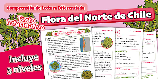 Comprensión de Lectura | Texto Informativo | 3° y 4° Básico