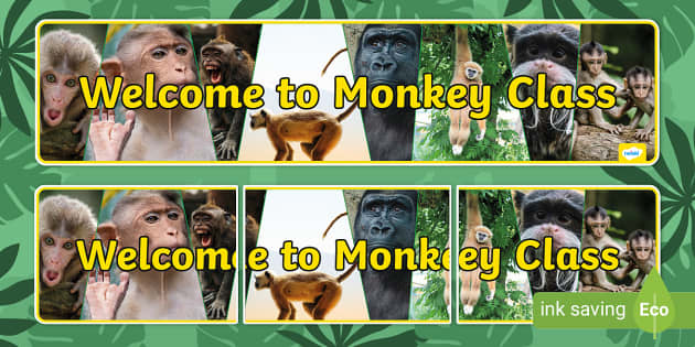 Welcome to Monkey Class Photo Display Banner (Teacher-Made)