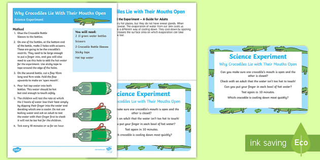 FREE! - EYFS Why Crocodiles Lie with Their Mouth Open Science ...