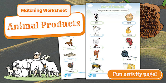 Animal Products Matching Worksheet