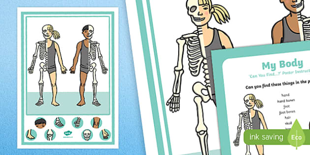 All About Me and Ourselves: My Body Can you Find...? Poster and Prompt Card