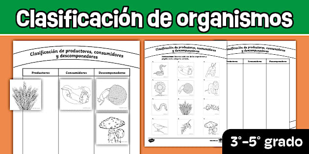 Clasificación productores, consumidores, descomponedores