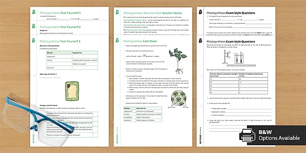 Photosynthesis Assessment Pack - Beyond Secondary Resources