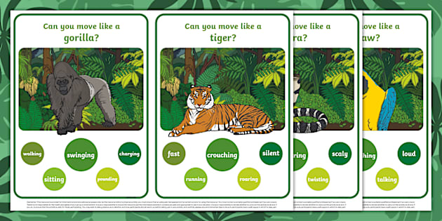 Jungle Animal Movement Cards | Twinkl (teacher made)