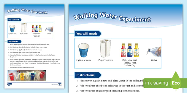 Walking Water Experiment (teacher made) - Twinkl