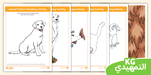 Animal Pattern Matching Activity (teacher made) - Twinkl Animal Pattern Matching Activity (teacher made) - Twinkl