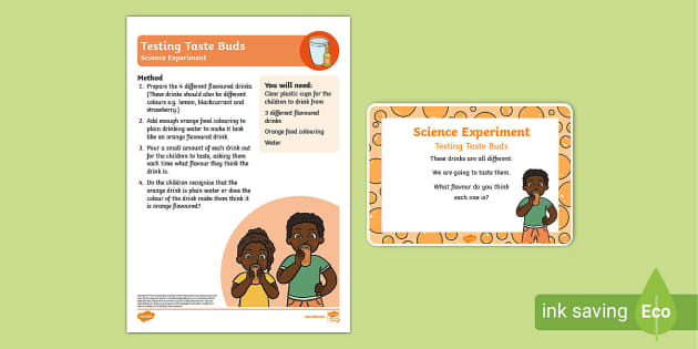 Kindergarten Testing Taste Buds Science Experiment and Prompt Card Pack