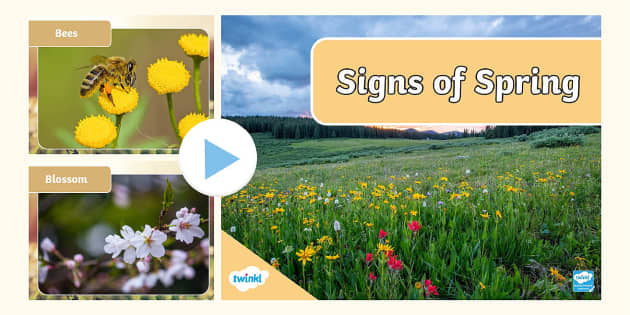 Spring Aistear Signs of Spring PowerPoint (teacher made)