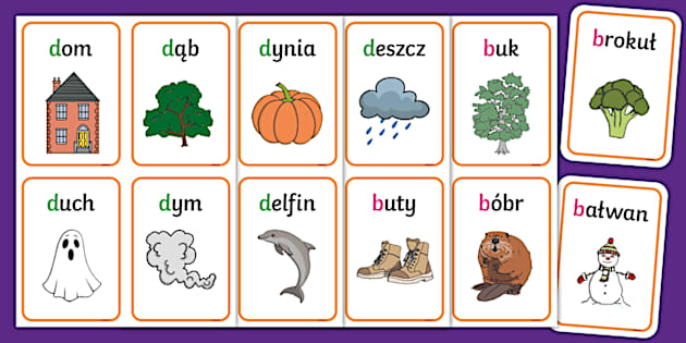 B i D | Fiszki (teacher made) - Twinkl