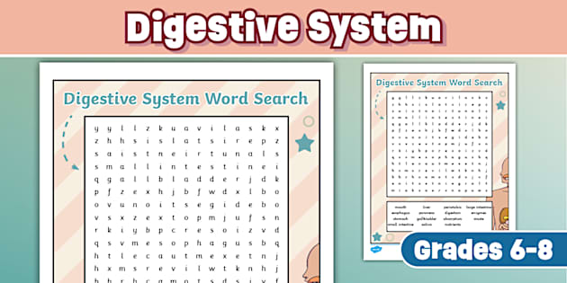 Digestive System Life Science Word Search for 6th-8th Grade