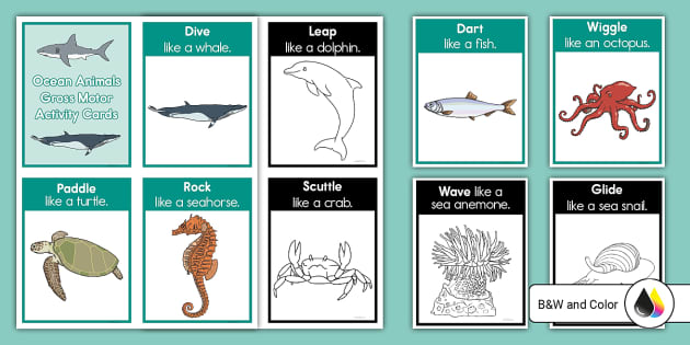 Ocean Animals Gross Motor Activity Cards (teacher made)