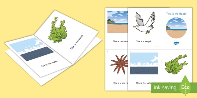 Beach Emergent Reader | Prekindergarten Resource | Twinkl US