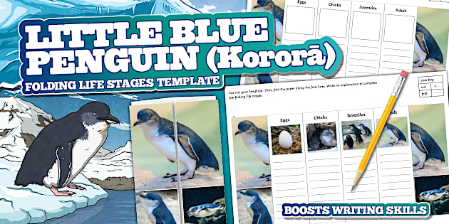 Little Blue Penguin (Kororā) Folding Life Stages Template