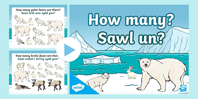 Learn Welsh: Counting to Ten in Welsh and English Arctic Animals Powerpoint