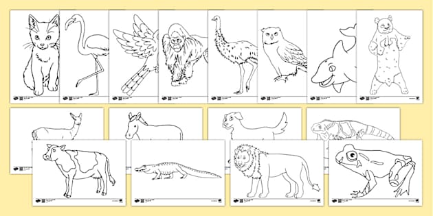 twinkl coloring book pages