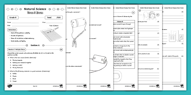 Grade 8 Natural Science Term 3 Exam Revision Paper - Twinkl