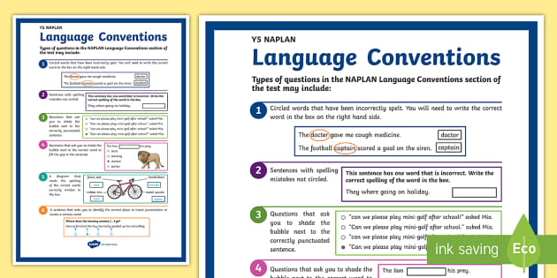 Y5 NAPLAN Language Conventions Display Poster - Twinkl