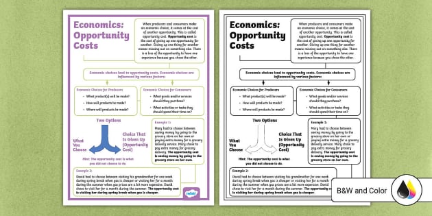 Economics: Opportunity Costs Poster for 6th-8th Grade