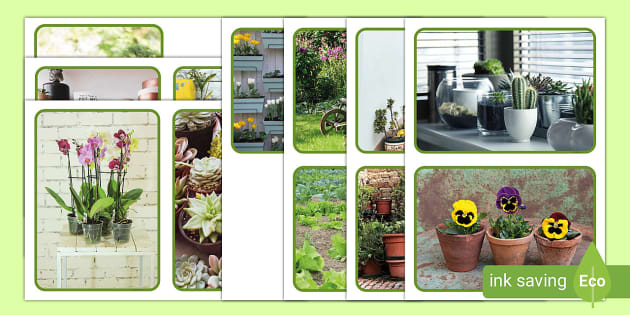 Indoor and Outdoor Plants Display Cards | Twinkl